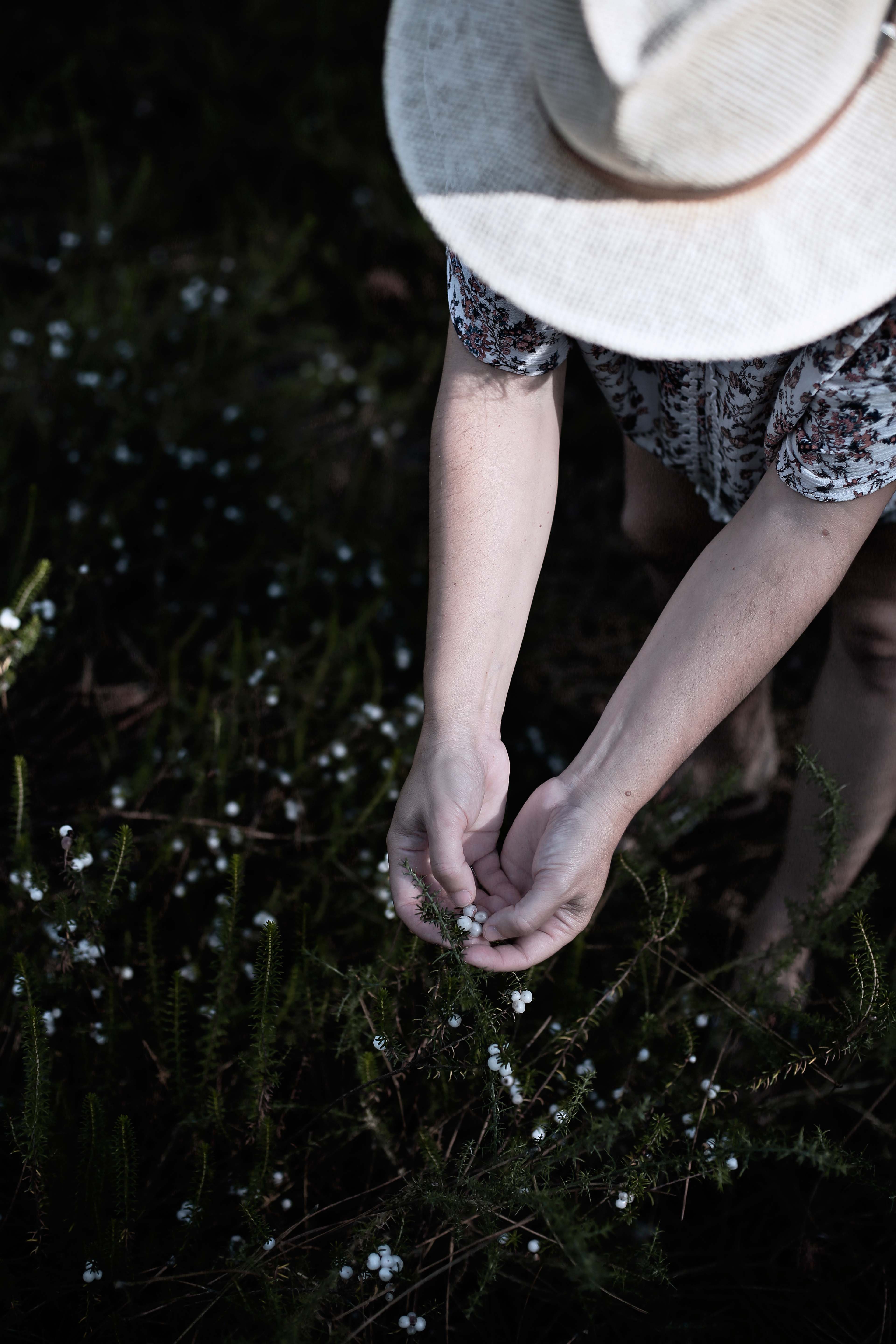 Tarte natural de camarinhas e amoras # Natural crowberry and blackberry pie